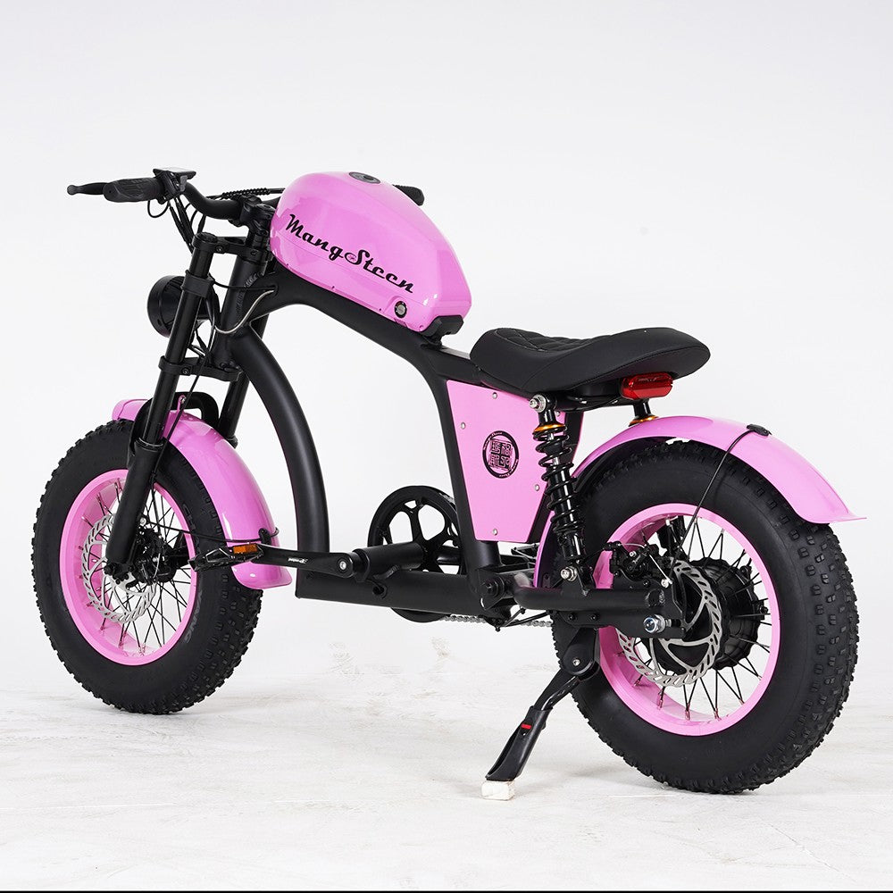 FT02 Mini Girl Riding Bike