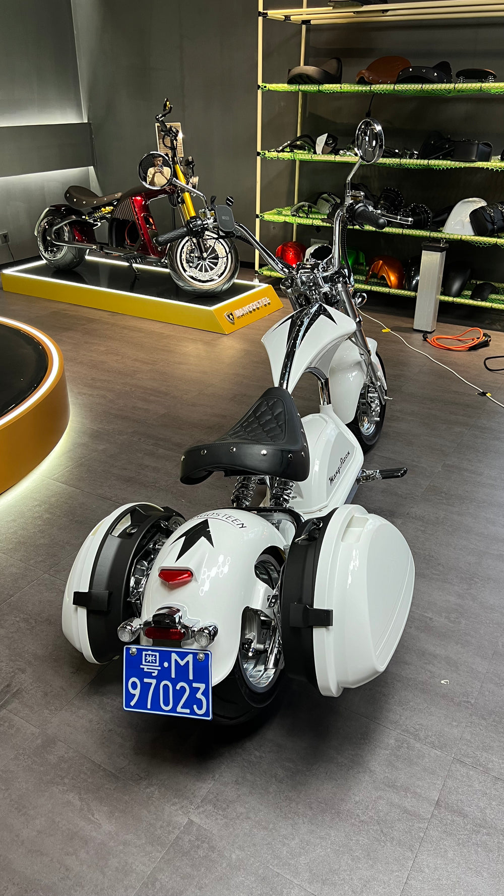 Mangosteen Scooter Side Boxes (custom)