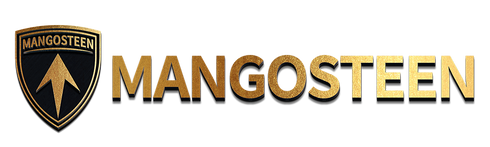 Mangosteen Electric Bike FT02 （45 days delivery） – Mangosteenscooter